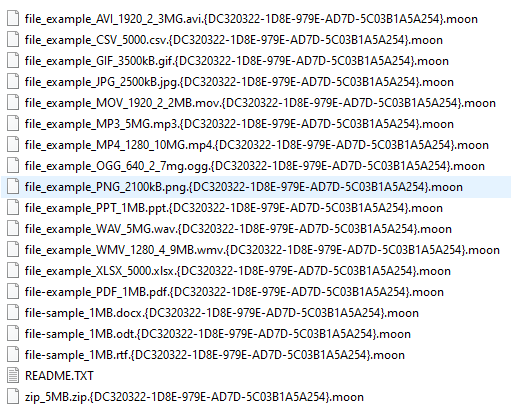 THREAT ANALYSIS: Beast Ransomware